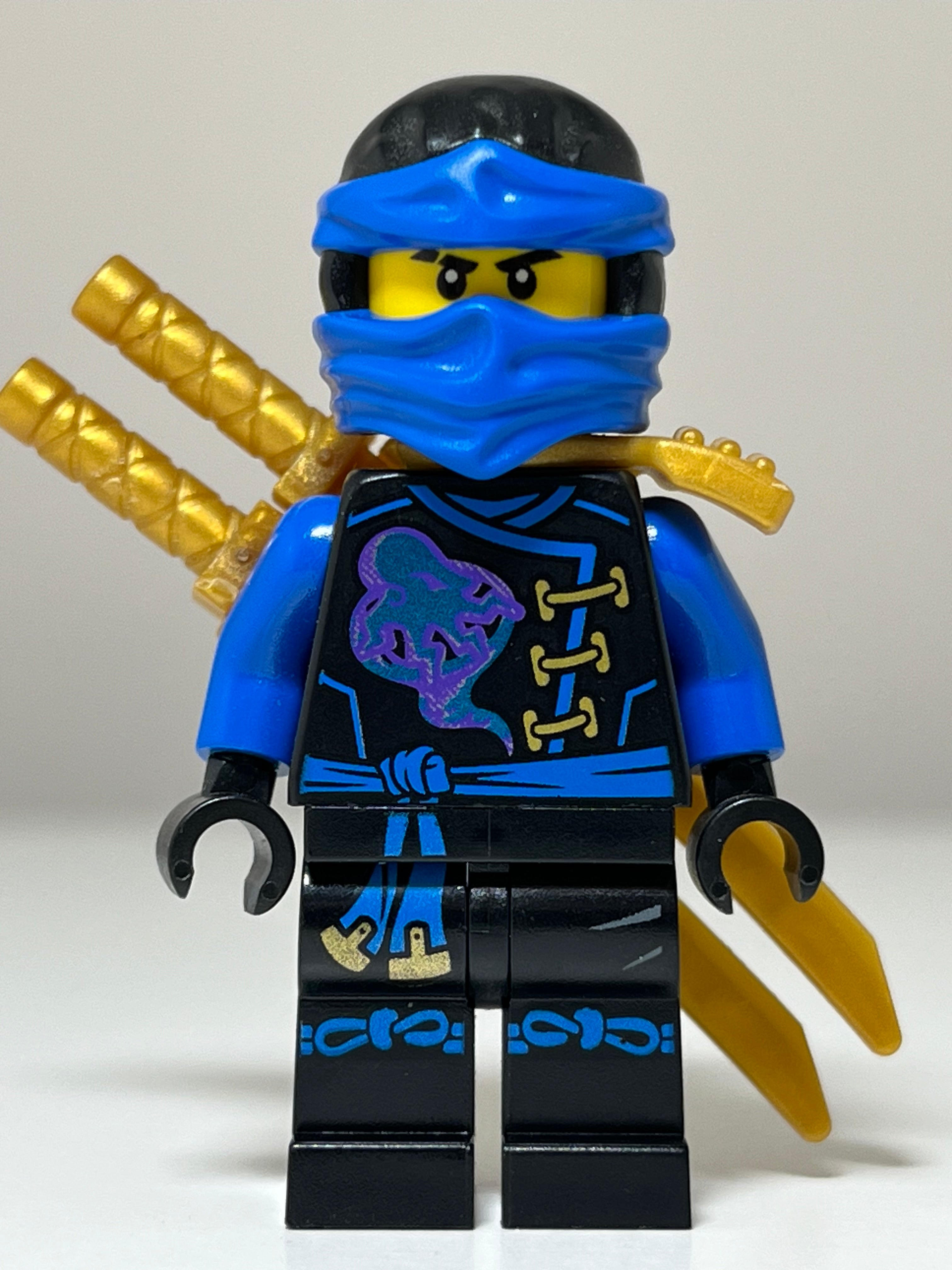 Jay - Skybound – DanP Bricks